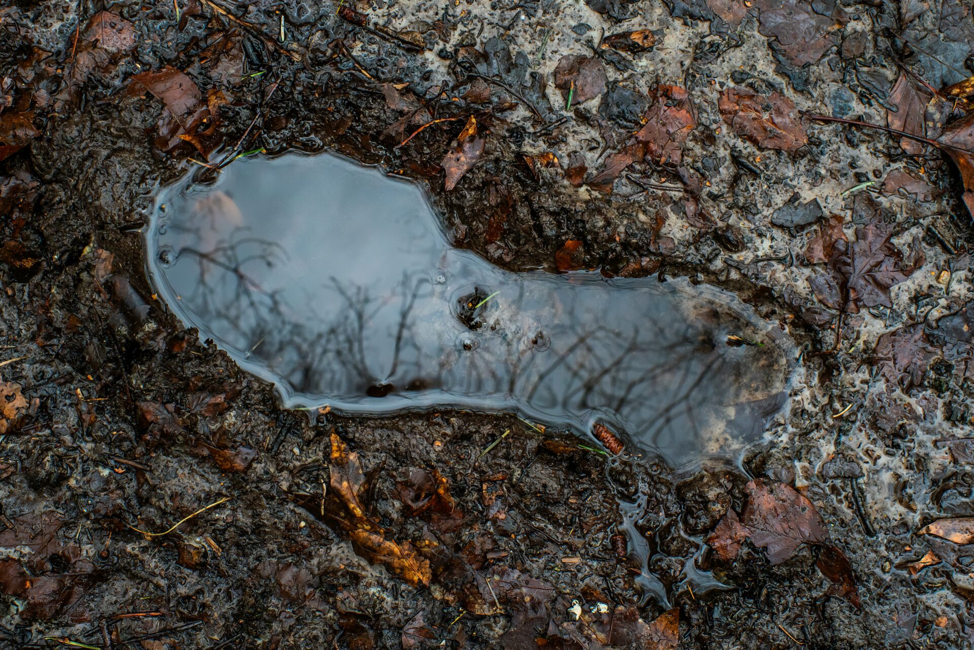 Small Steps: A Missionary's Reflection