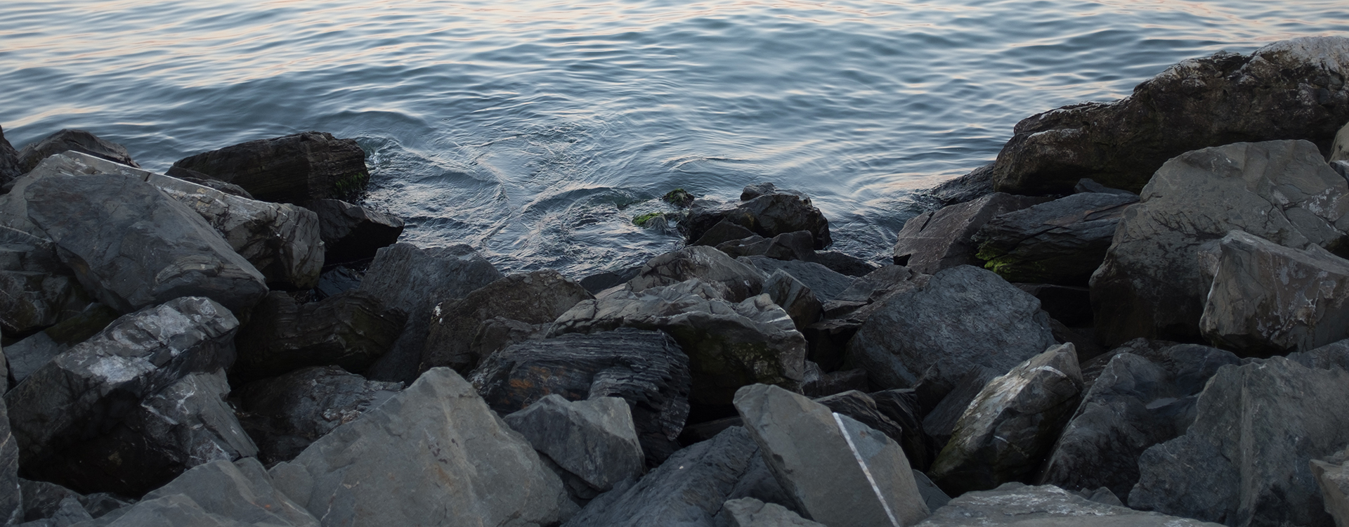 Cemre's Story | East-West